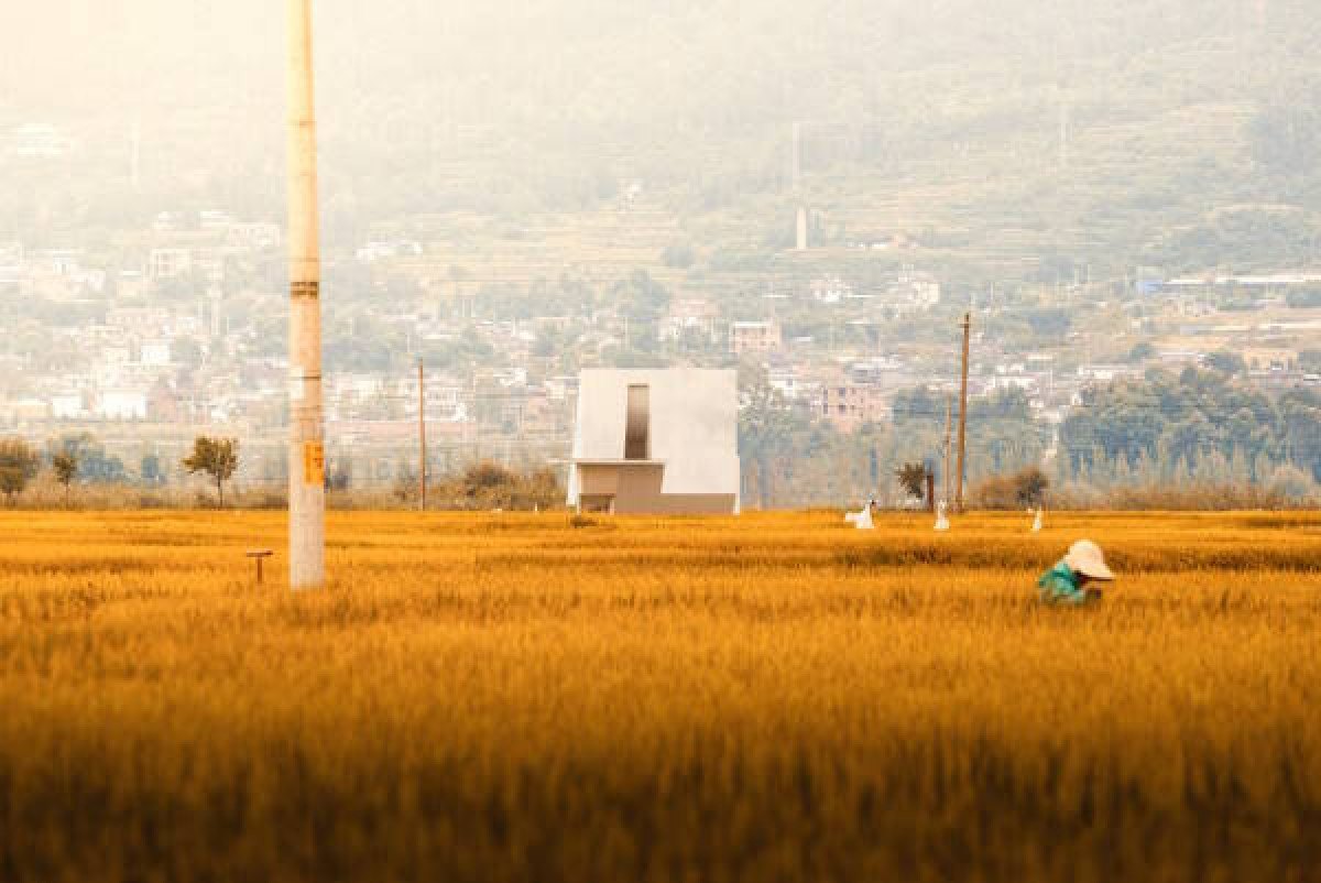Concrete Pavilion in Yunnan, China by lin architecture | Design Dekko