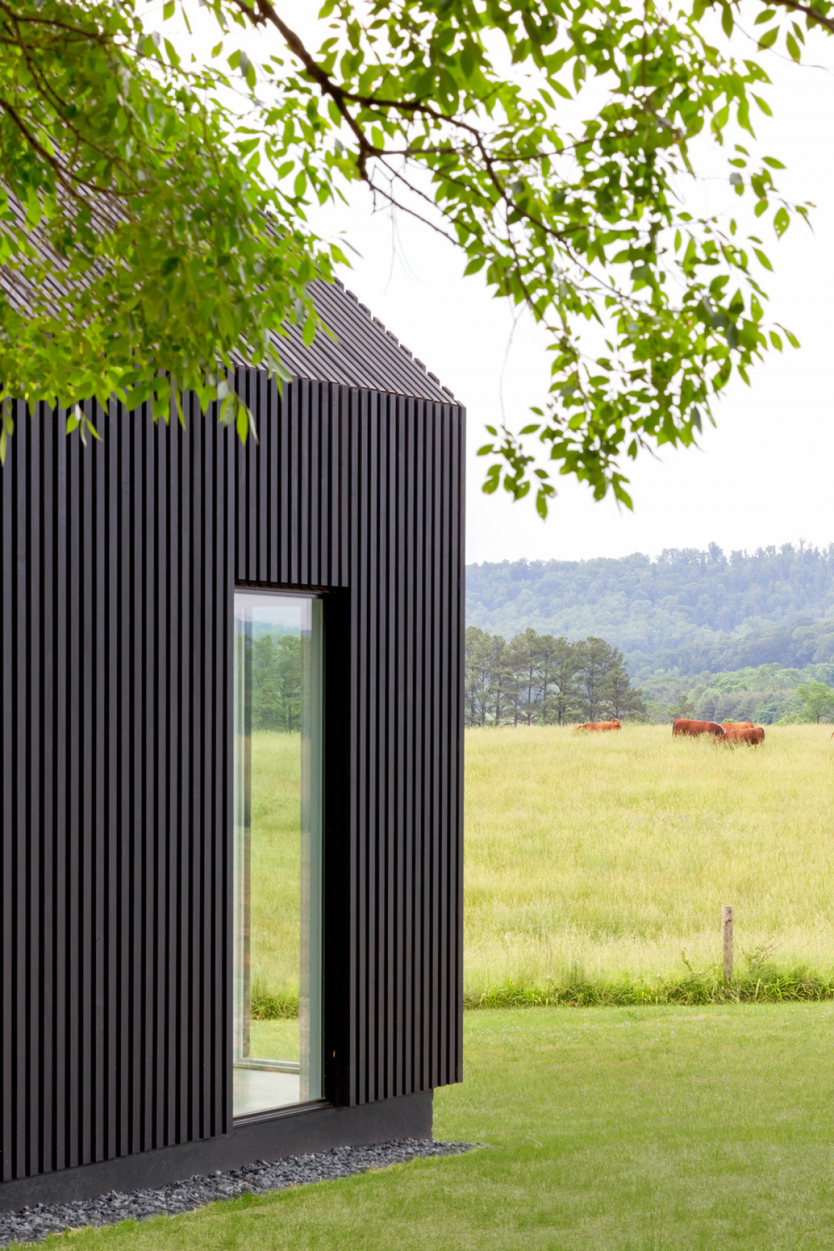 Bushman Dreyfus Architects wins Architecture MasterPrize | Design Dekko