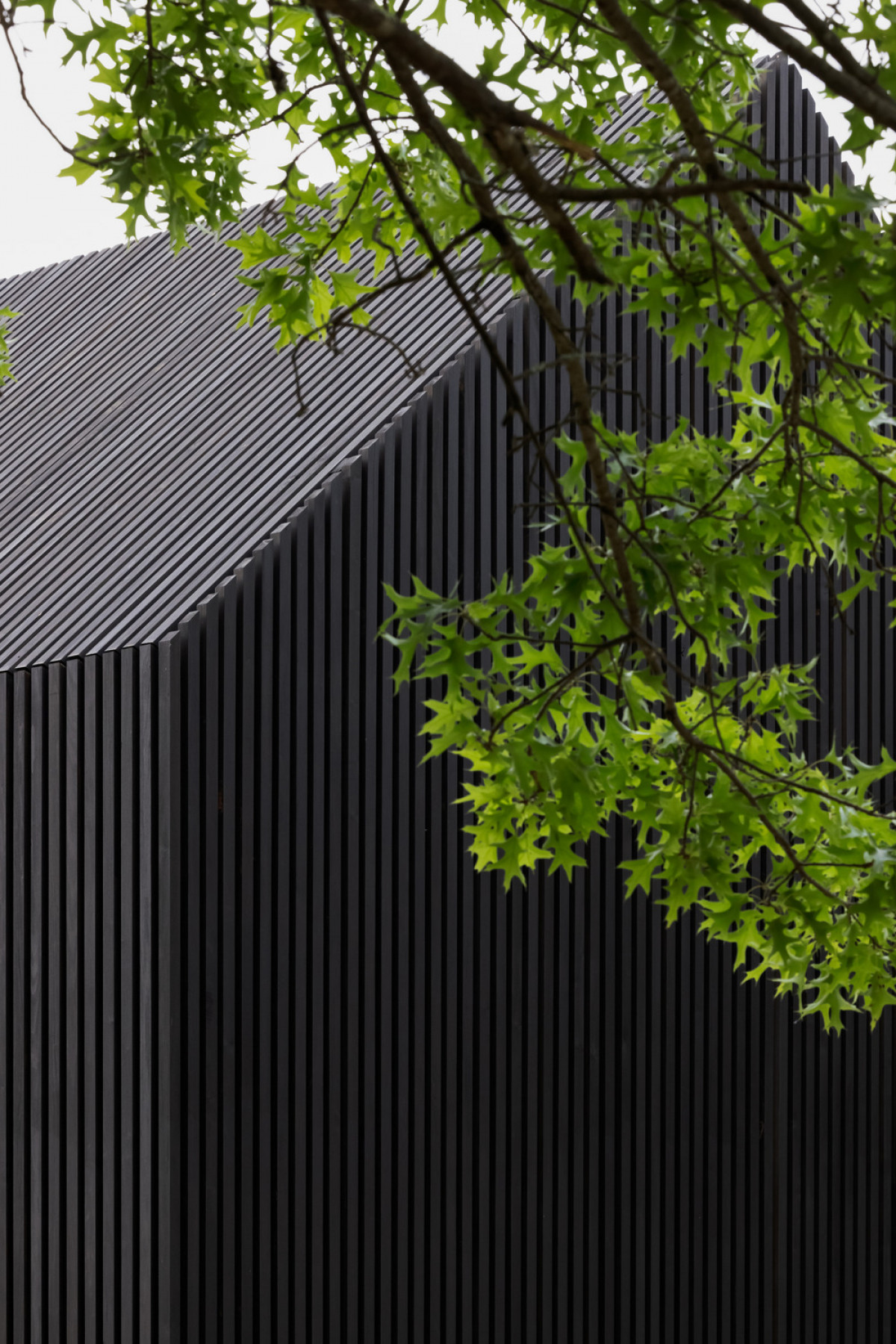 Bushman Dreyfus Architects wins Architecture MasterPrize | Design Dekko