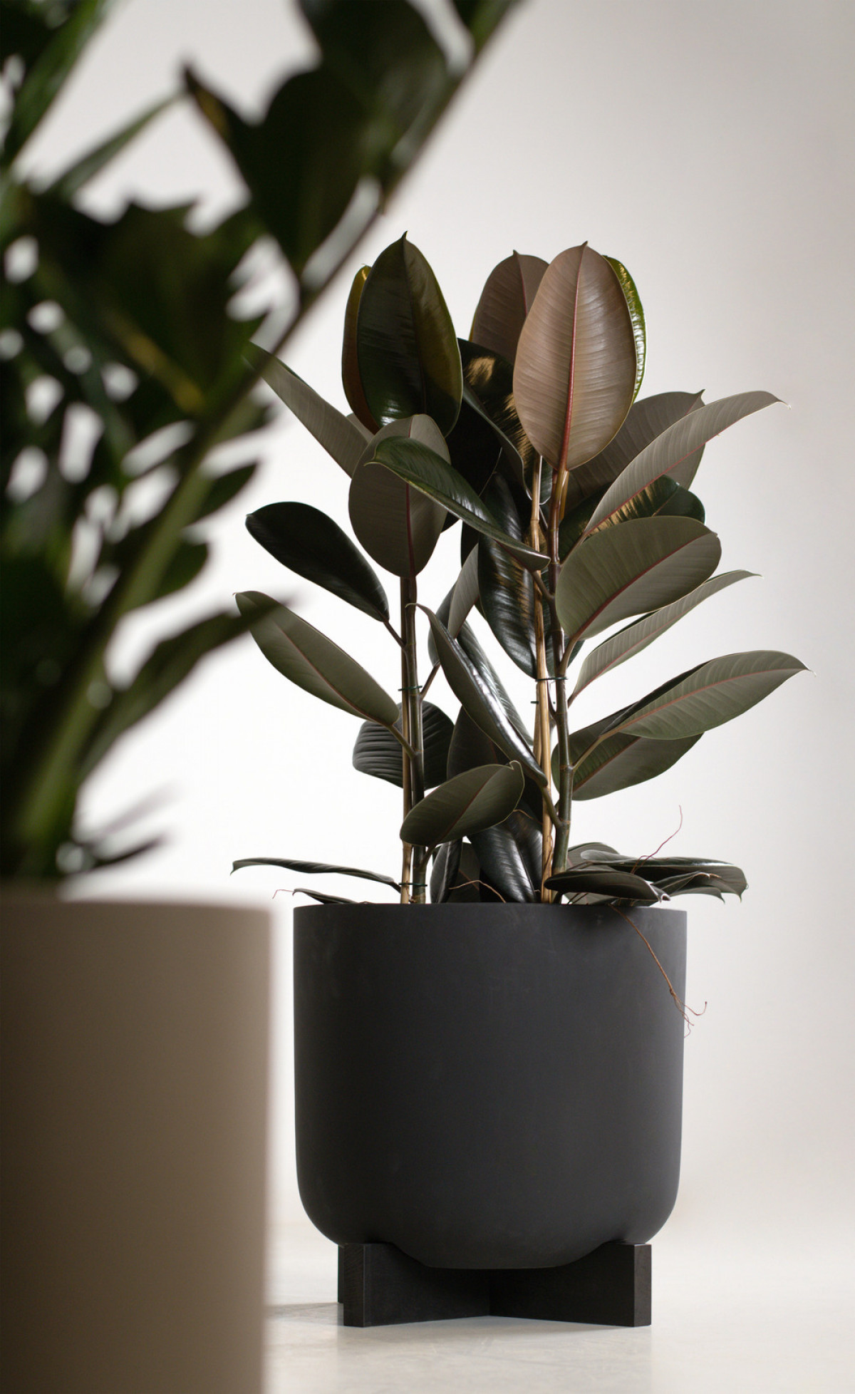 Introducing the Cruz Planter by Greenmood in Brussel, Belgium | Design ...