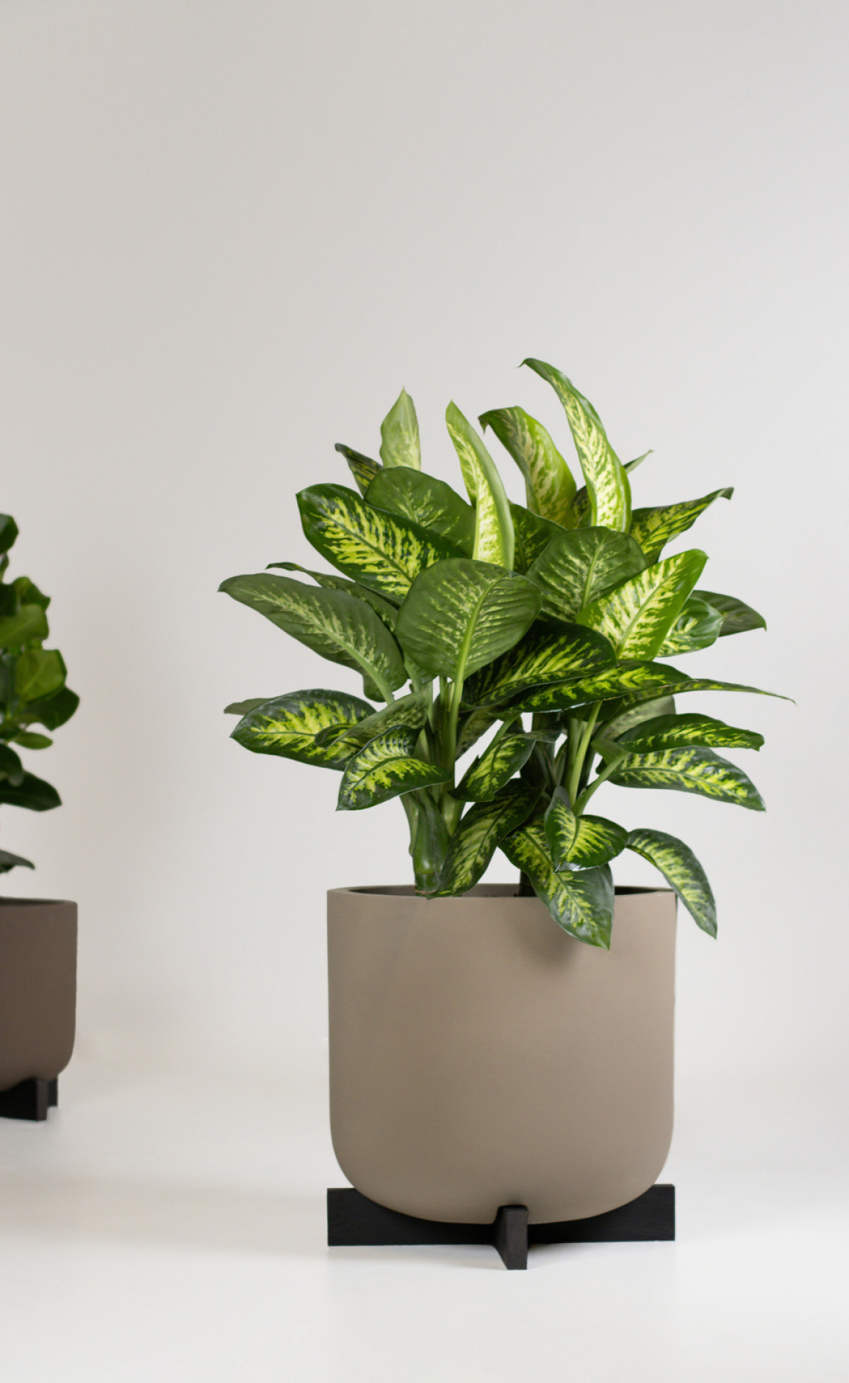 Introducing the Cruz Planter by Greenmood in Brussel, Belgium | Design ...
