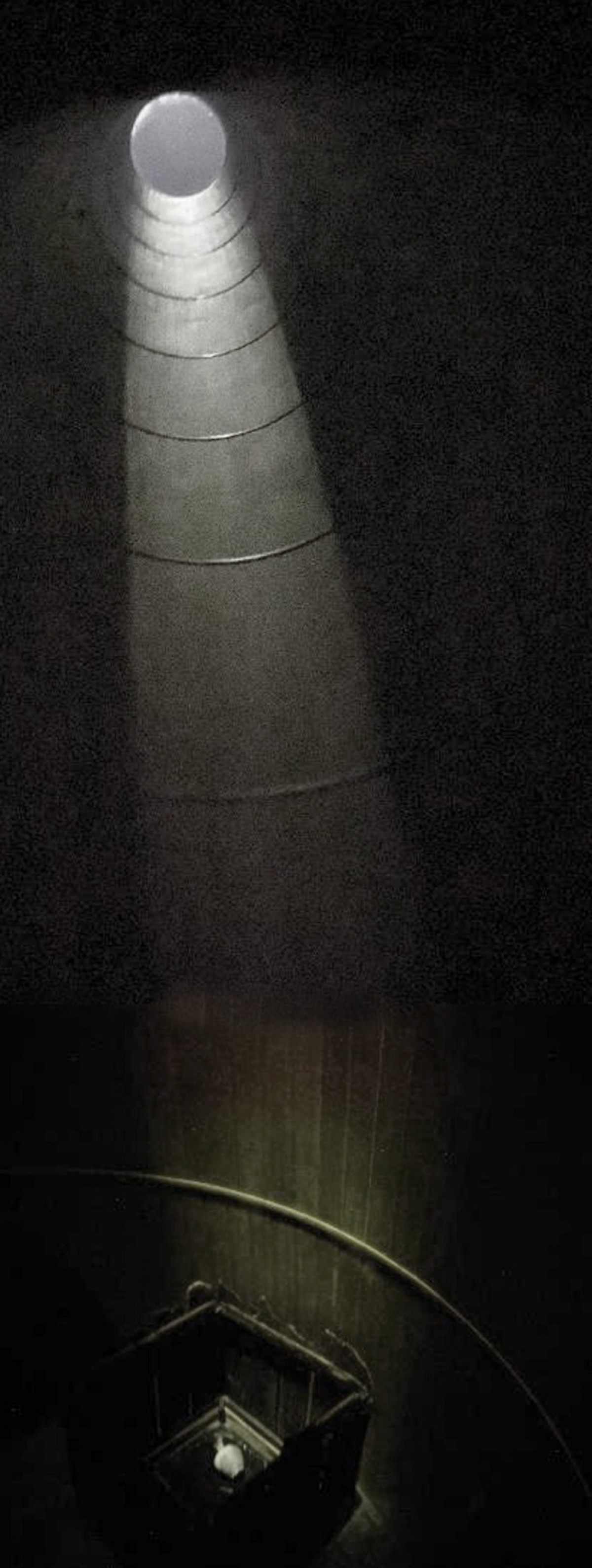 MORI no KAISHO: Meeting place of forest | Design Dekko