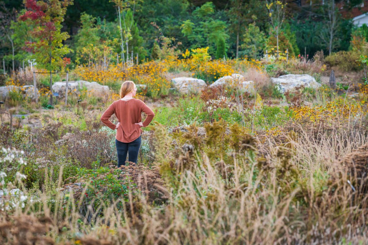 Pollinator and Bird Garden, Designed by Didier Design Studio, named ...